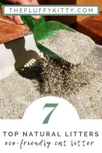 The Best Natural Cat Litter Compilation - The Fluffy Kitty