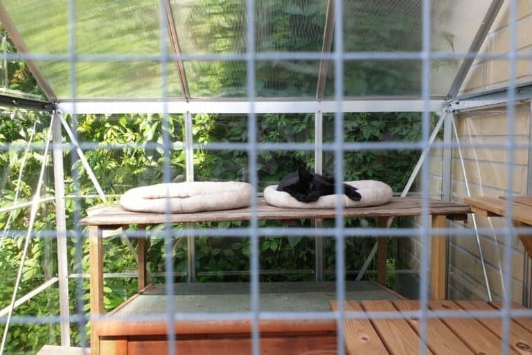 CATIOS! 5 Awesome Cat Outdoor Play Area Ideas - Fluffy Kitty